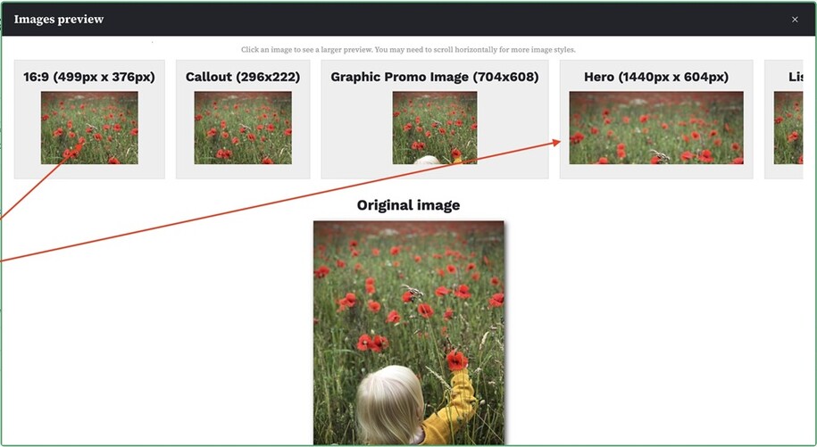 Use Focal Point in Images | Digital Experience